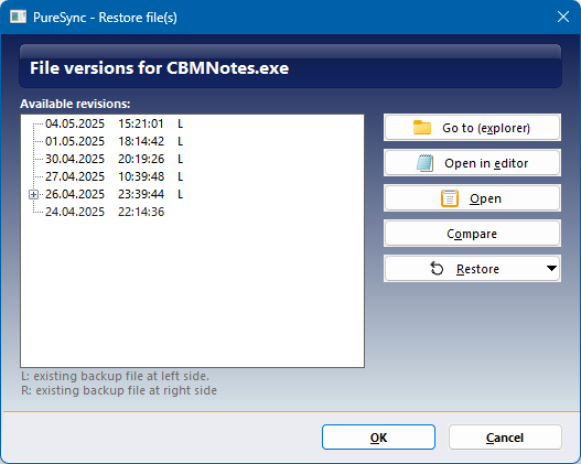 Show file versions - Screenshots - PureSync